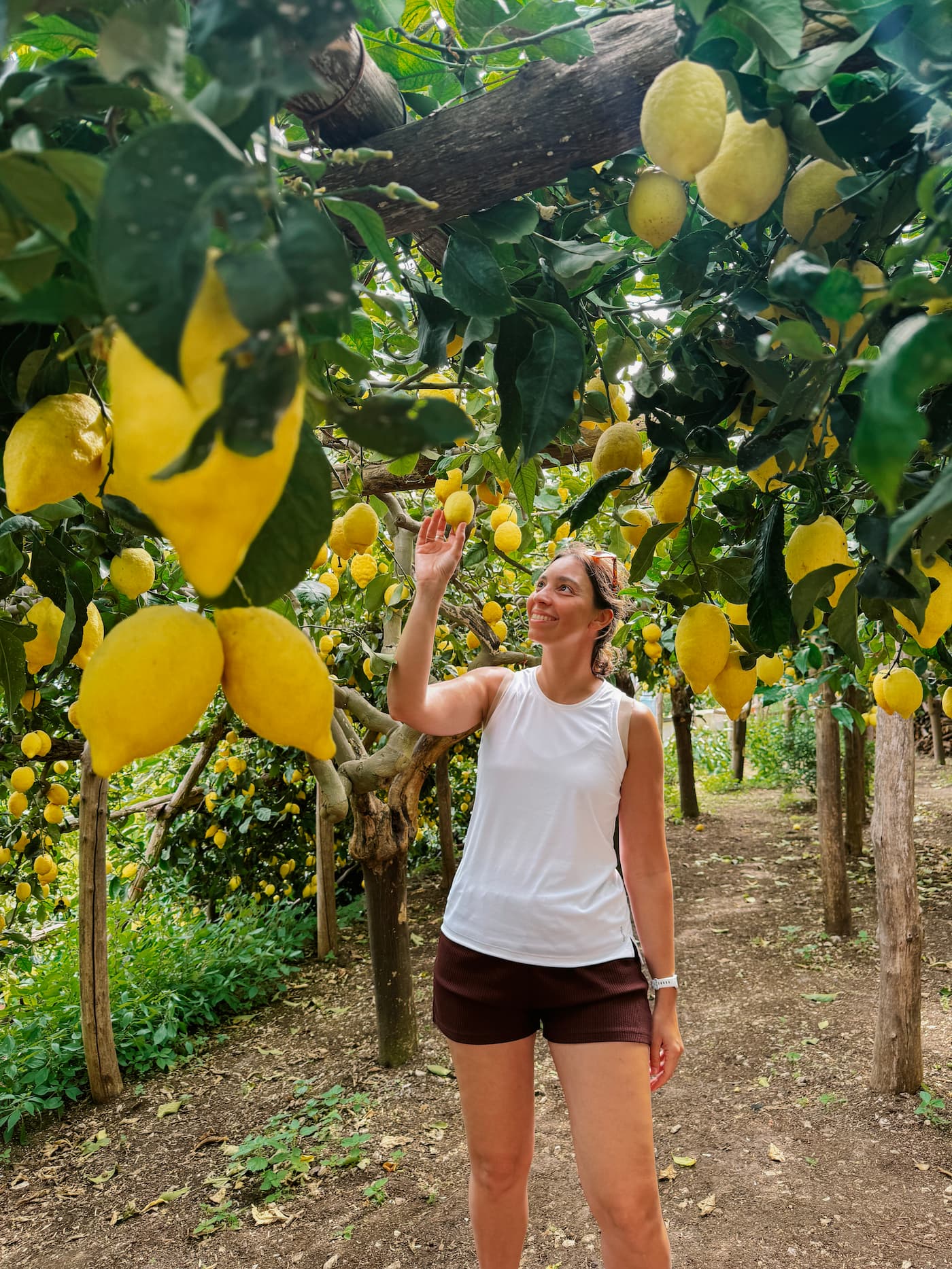Walking the Path of the Lemons: A Full Guide